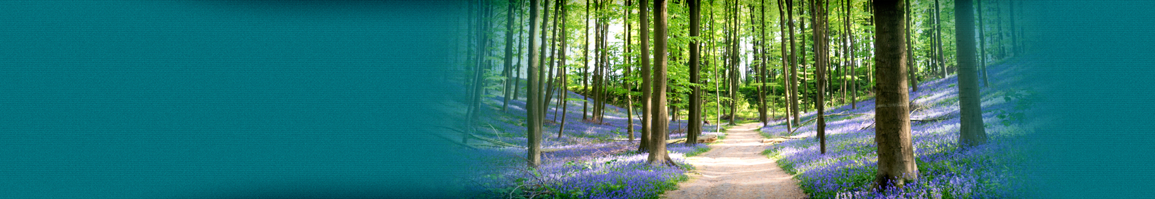 Market Commentary | Winch Financial